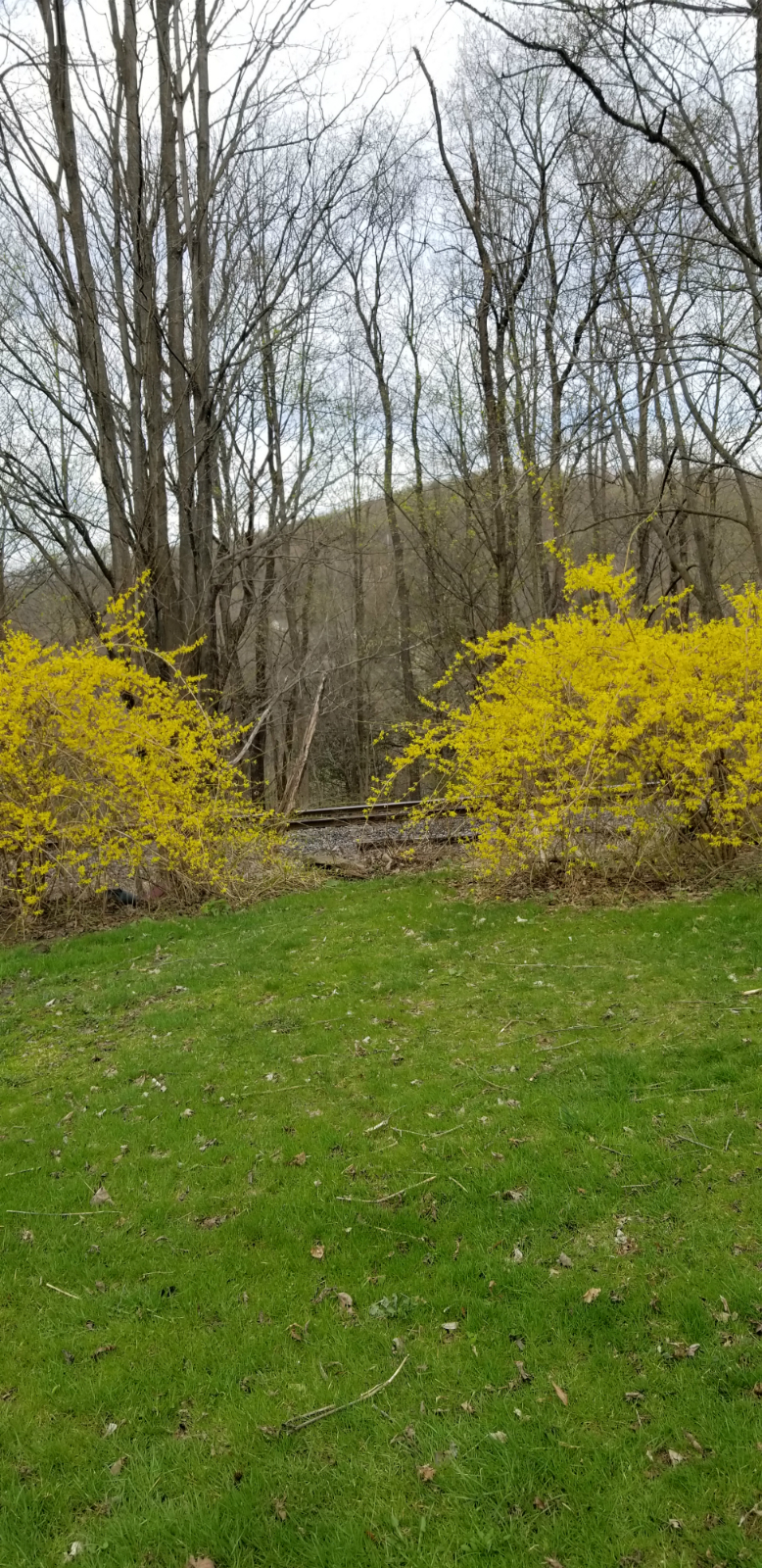 Mackenzie Thomas – Where Creativity Works