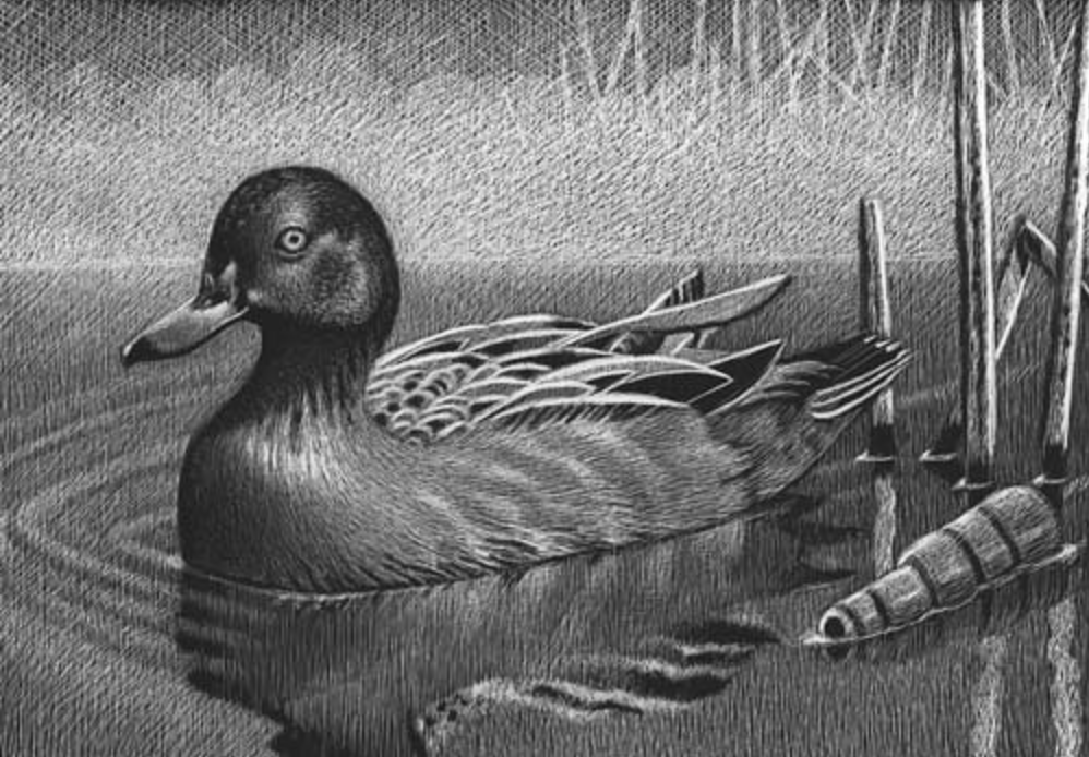 2021 Federal Duck Stamp Contest – Where Creativity Works