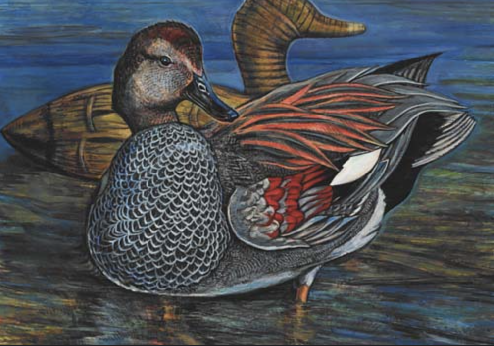 2021 Federal Duck Stamp Contest – Where Creativity Works