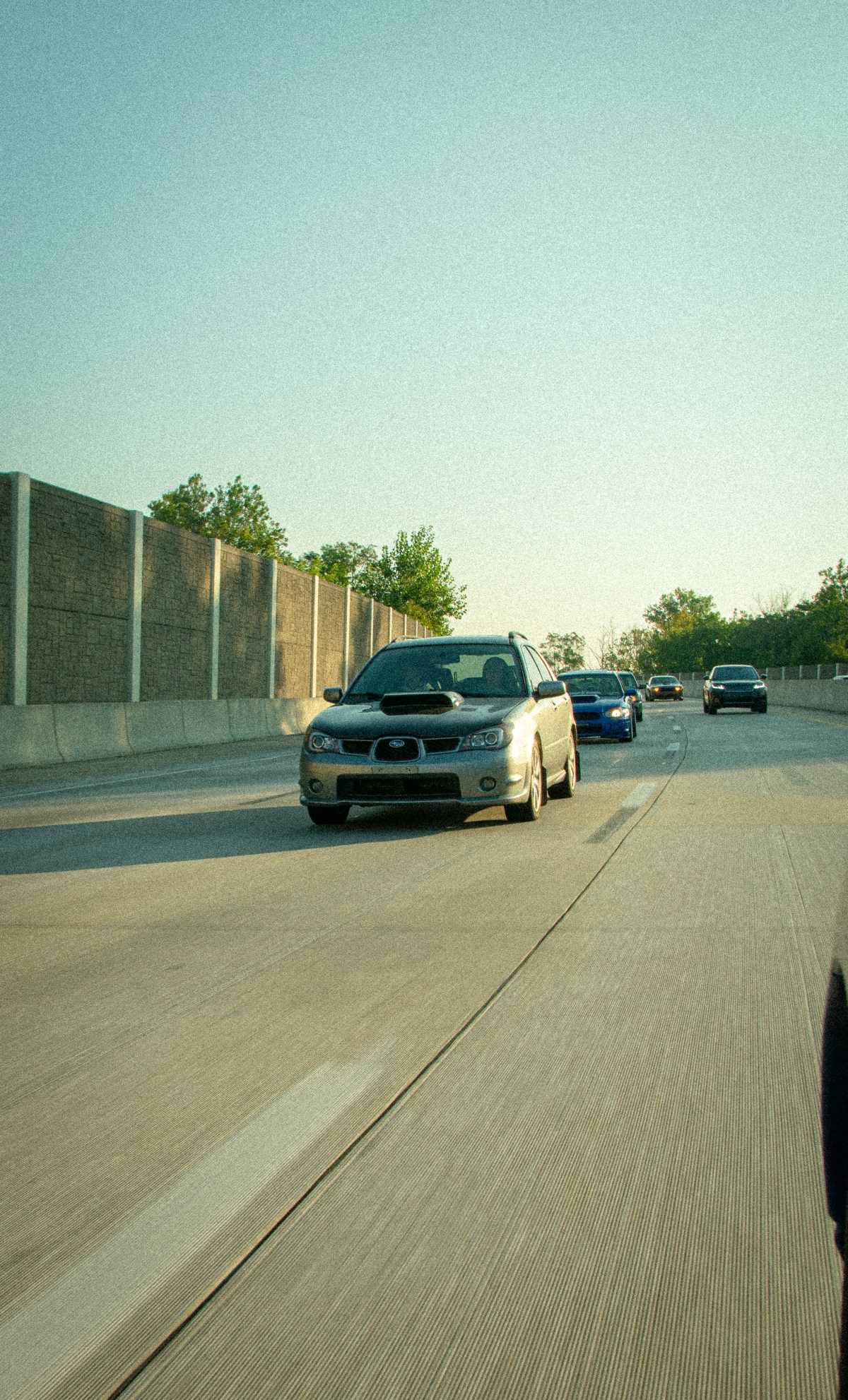 Boxerfest – Where Creativity Works