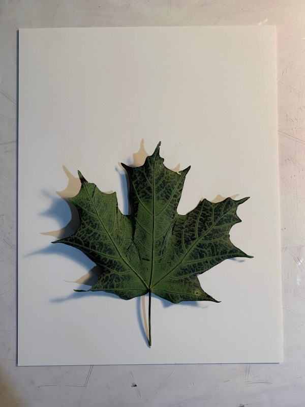 Leaf Printing – Where Creativity Works