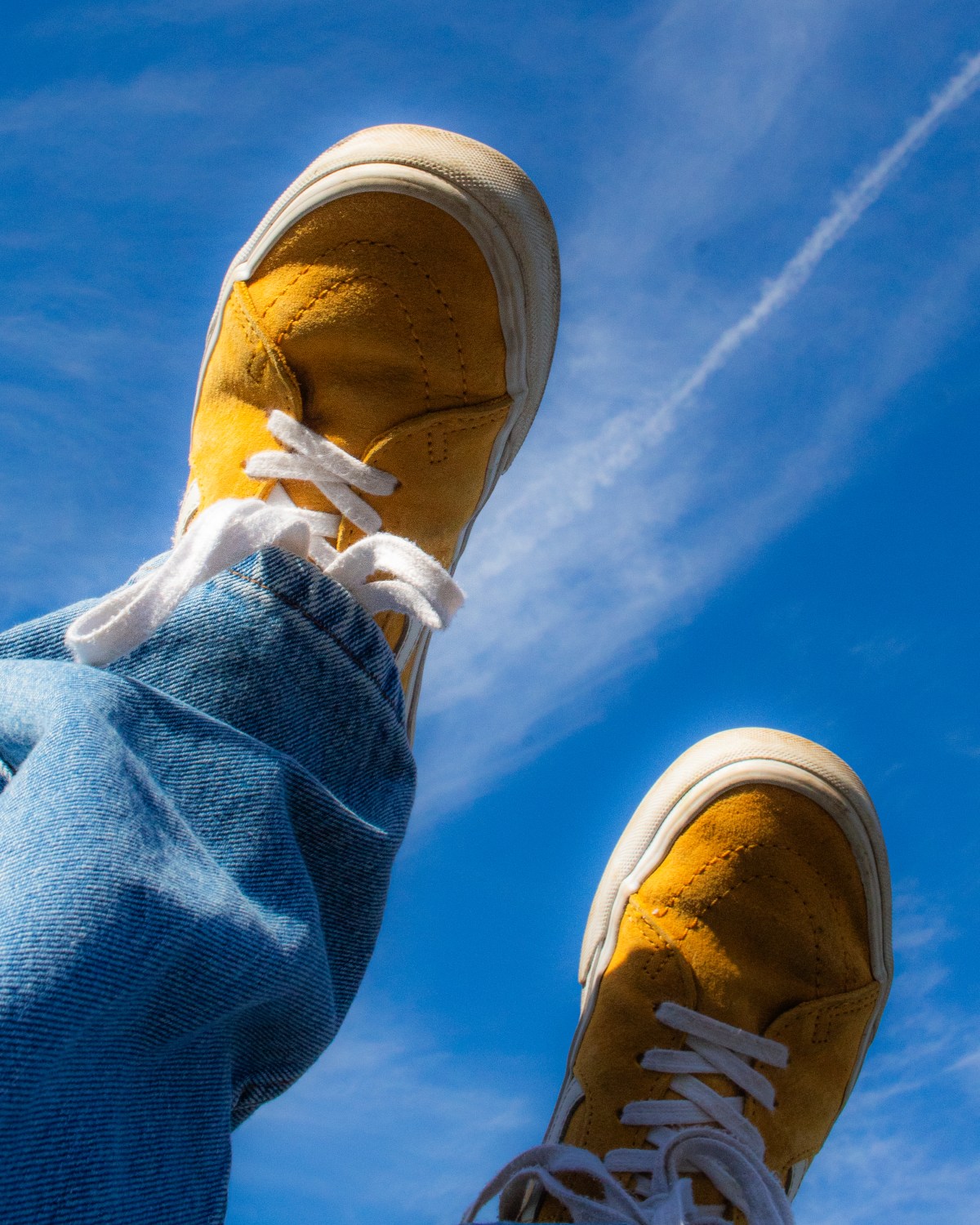 Color Contrast and Harmony in Photography – Where Creativity Works